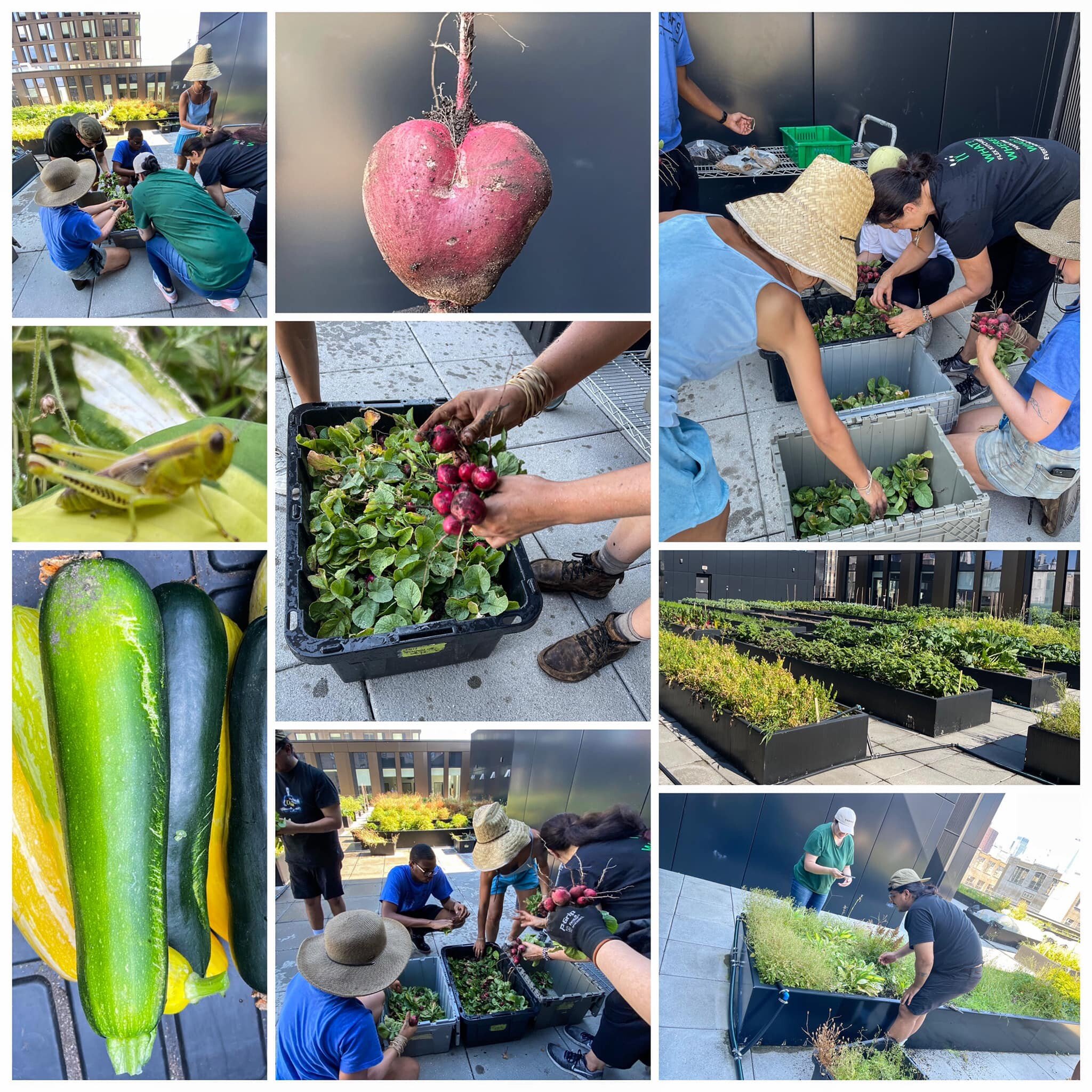 Culinary Community | Making an Impact - e.terra kitchen