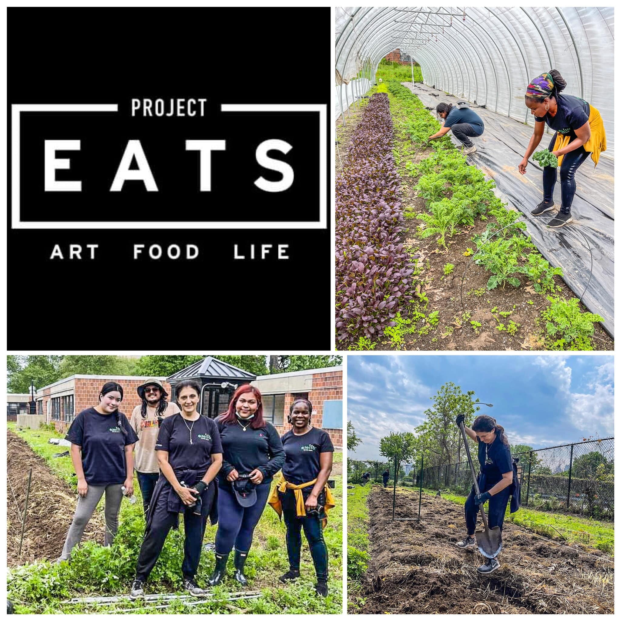 Culinary Community | Making an Impact - e.terra kitchen